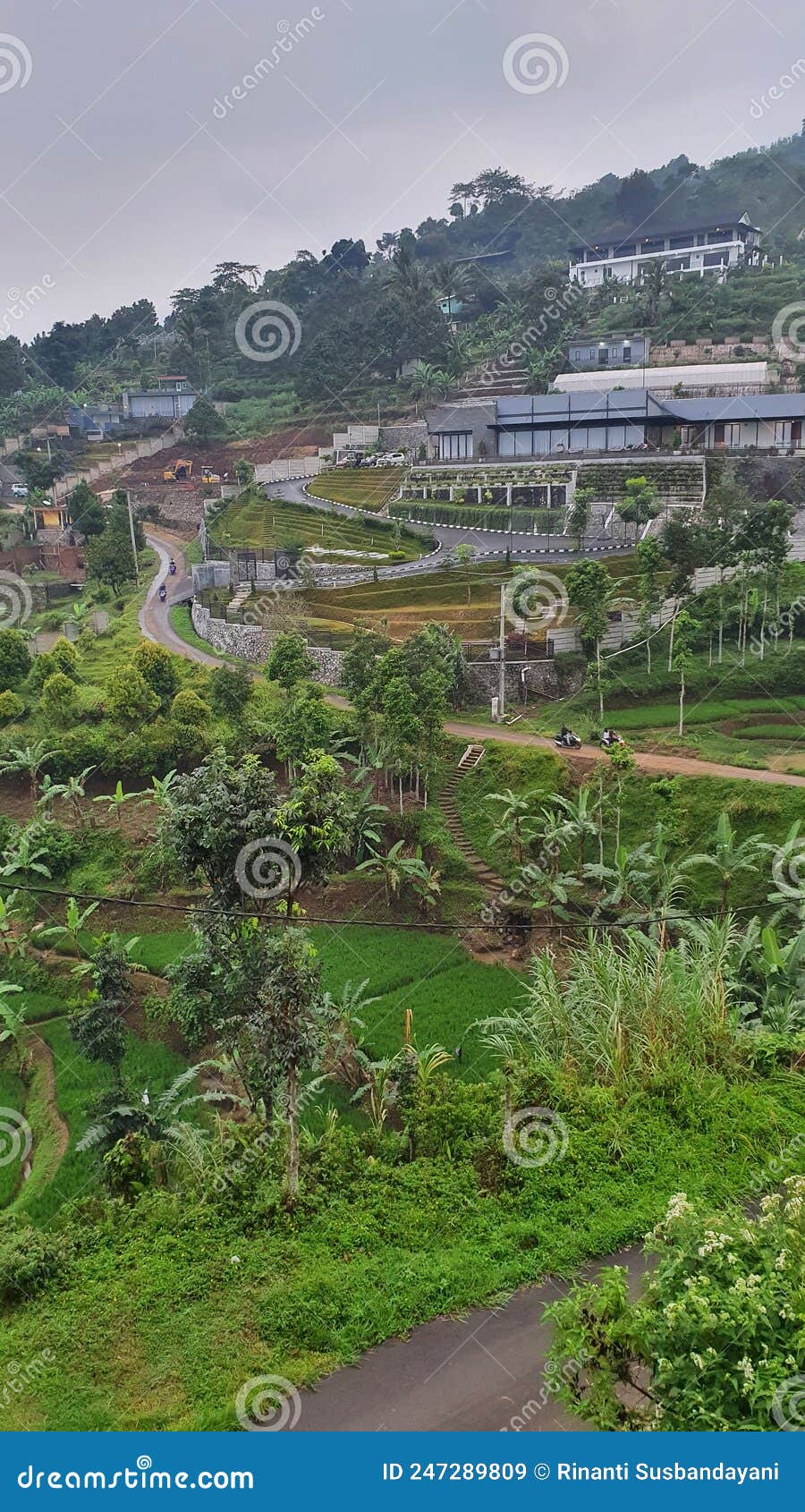Bogor, cijeruk stock image. Image of hill, nature, bogor - 247289809