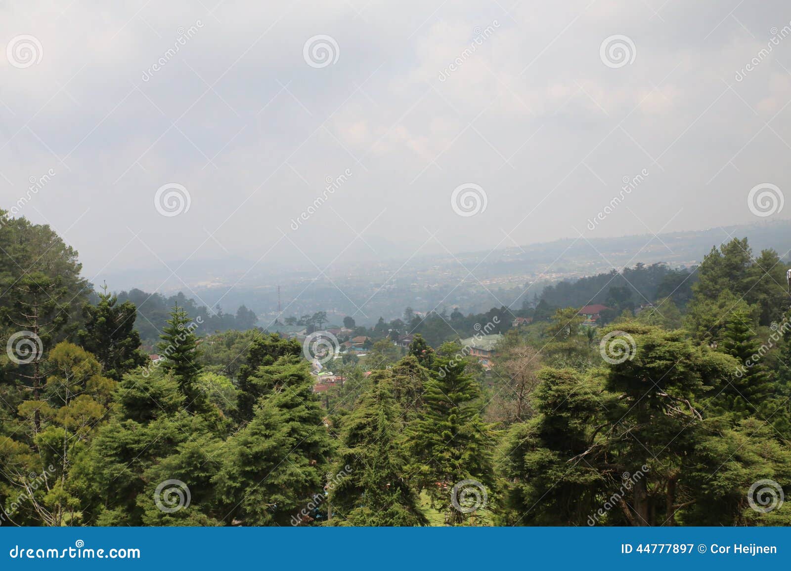 Bogor Indonesia stock image. Image of botanical, jakarta - 44777897