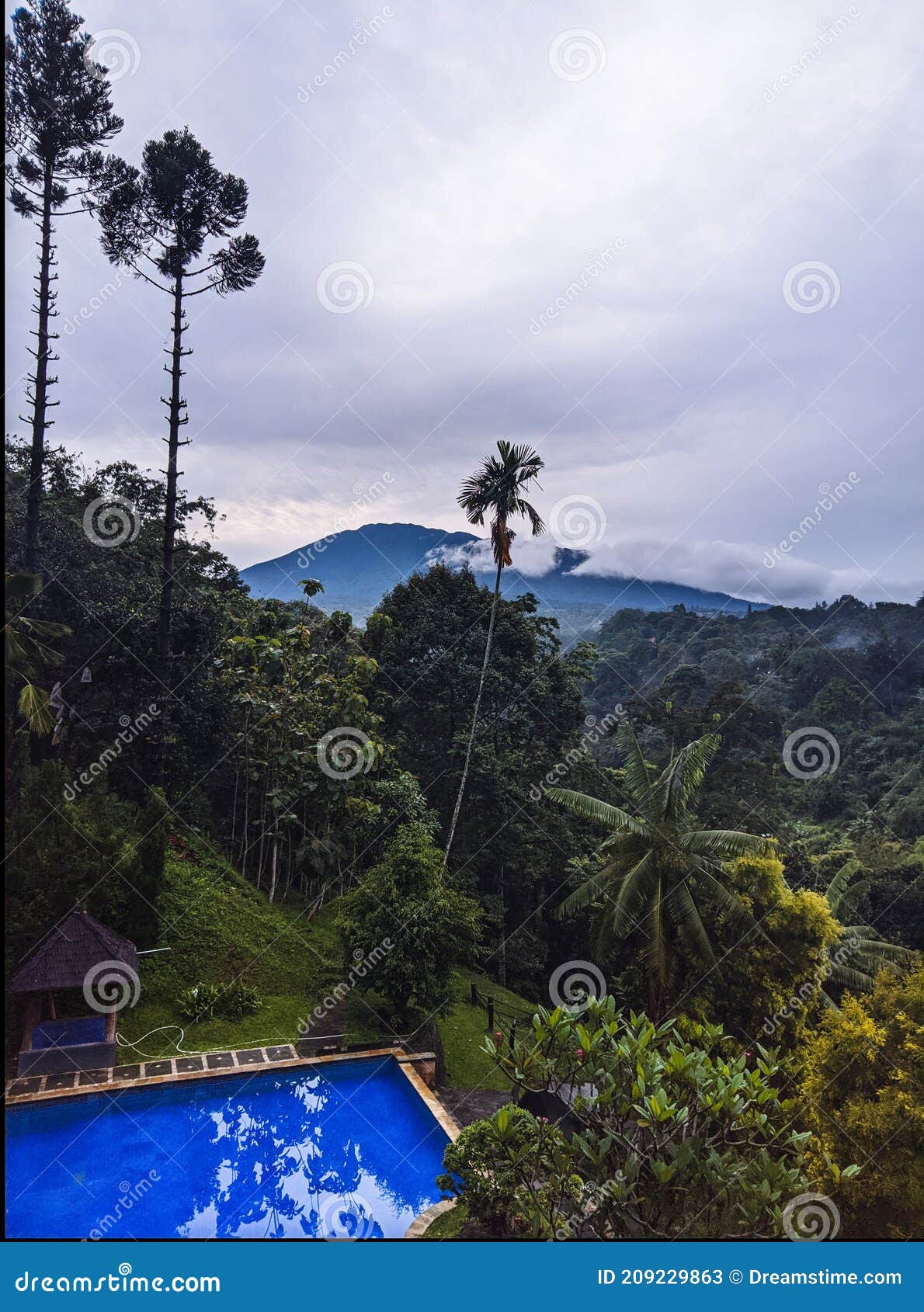 Bogor Peak View Stock Photos - Free & Royalty-Free Stock Photos from ...