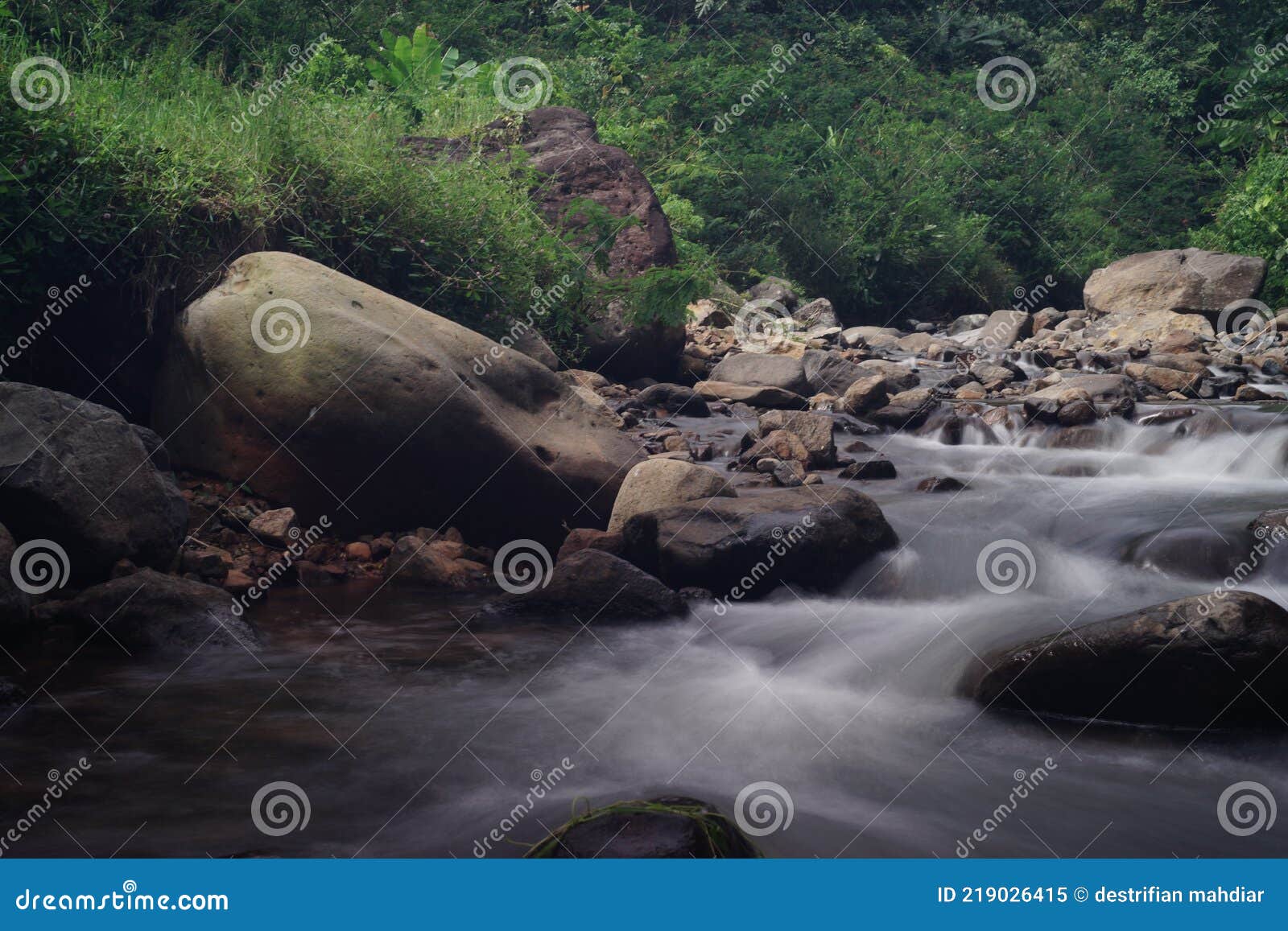 Bogor river and nature stock image. Image of landscape - 219026415