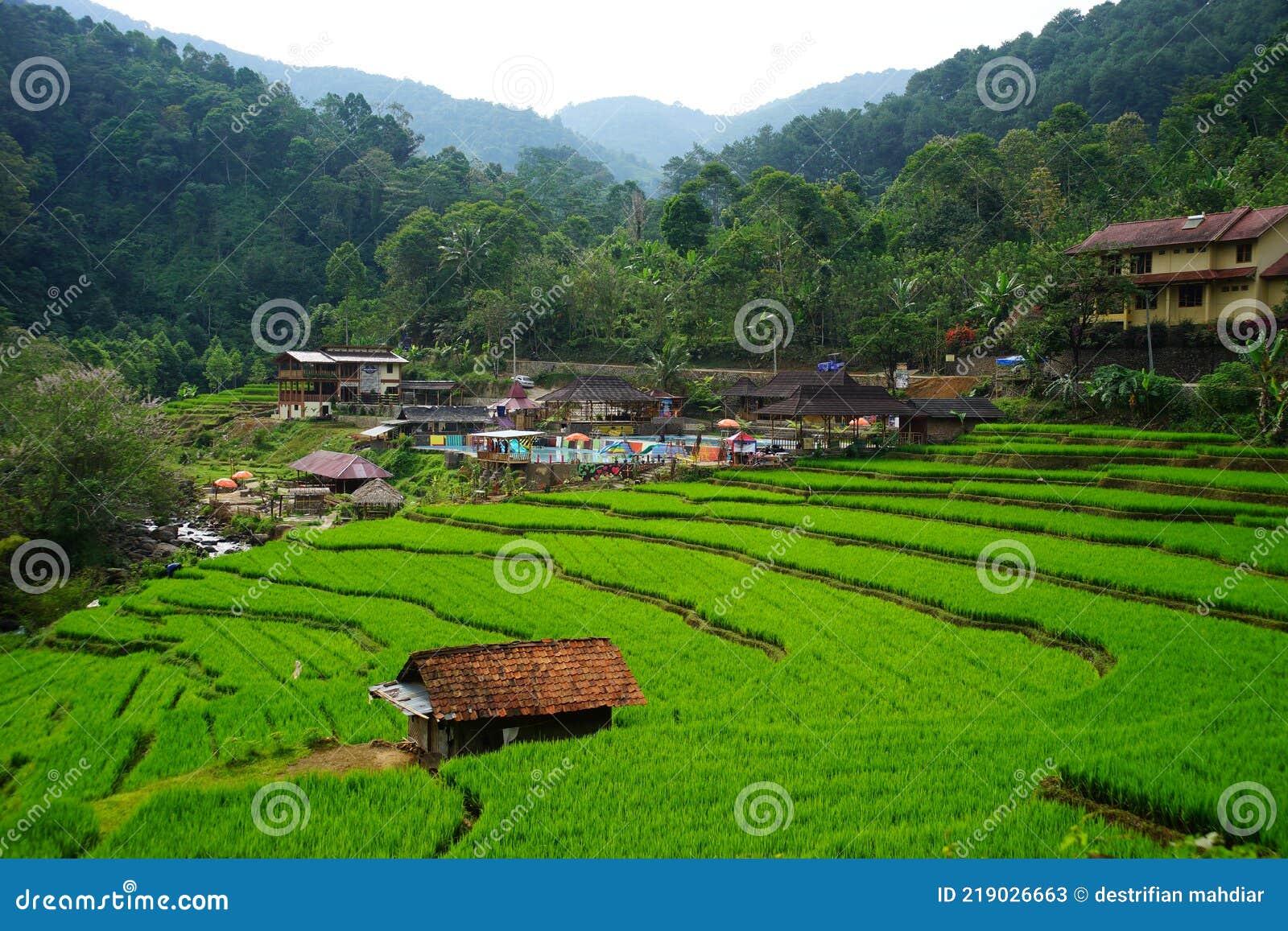 Nature villages bogor stock image. Image of agriculture - 219026663