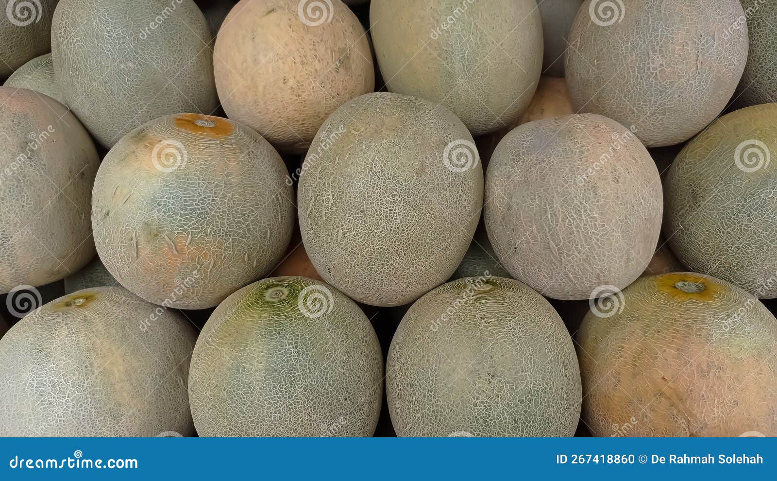 Fresh Melon Fruits from Traders in the Bogor Area. Stock Photo - Image ...