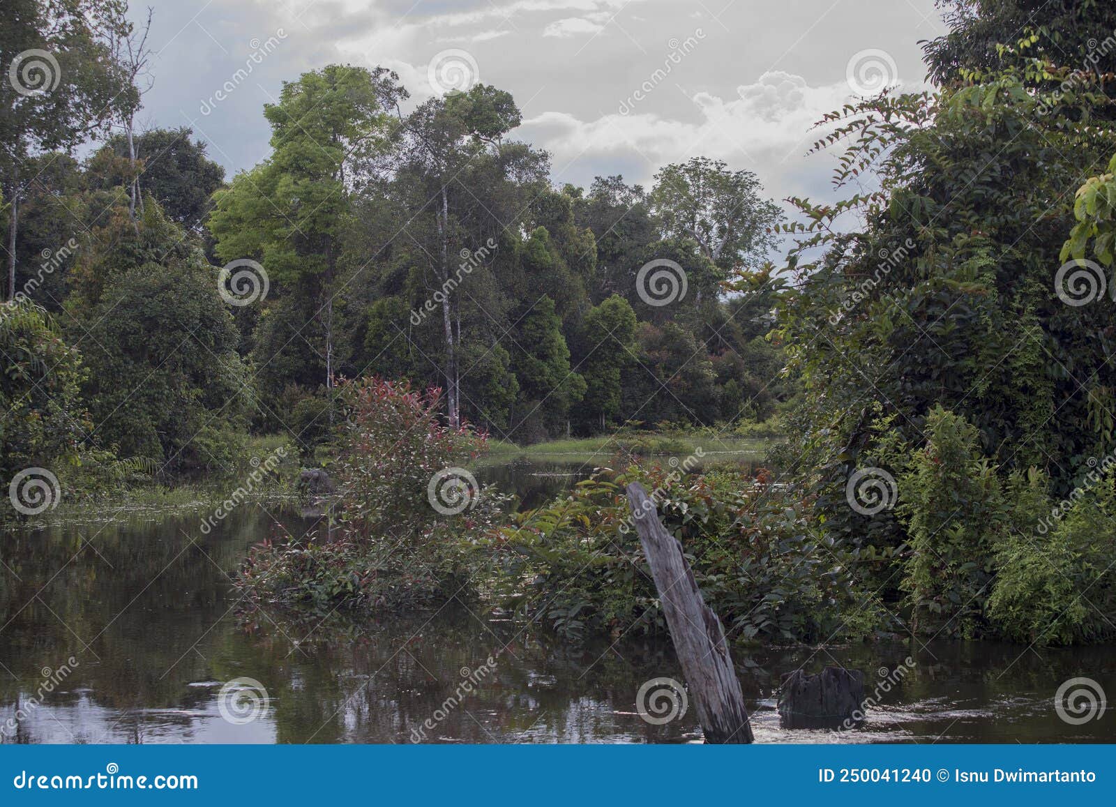 Bogor west java stock photo. Image of building, java - 250041240