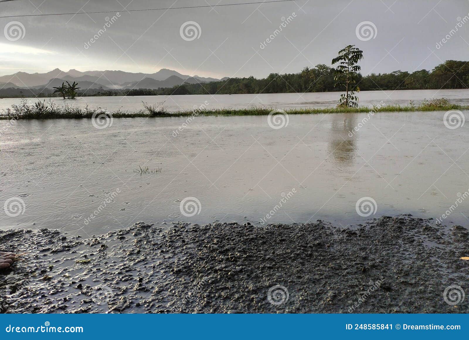 Bogowonto Stock Photos - Free & Royalty-Free Stock Photos from Dreamstime