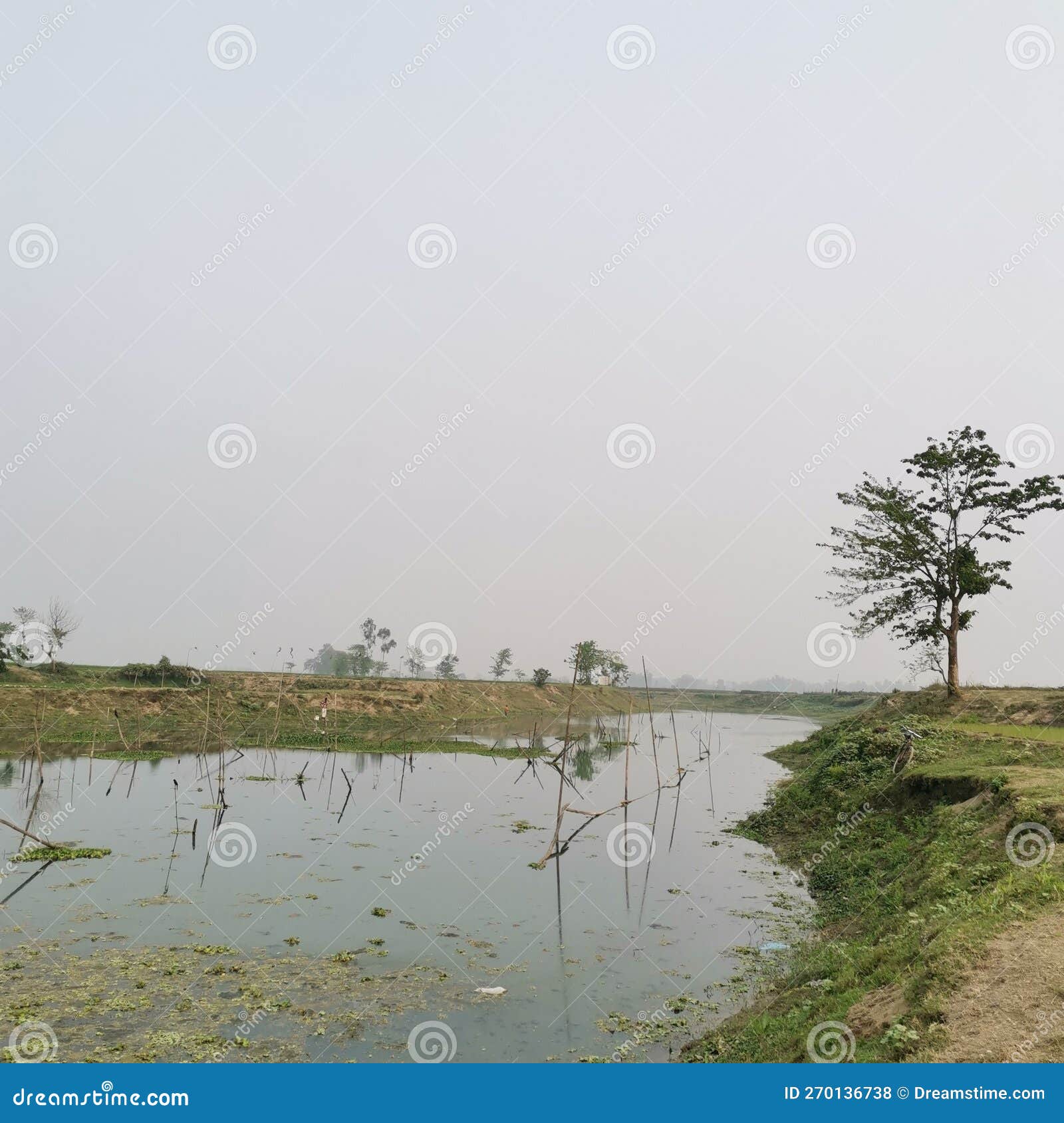 Bogra Ichamati River stock photo. Image of coast, reflection - 270136738