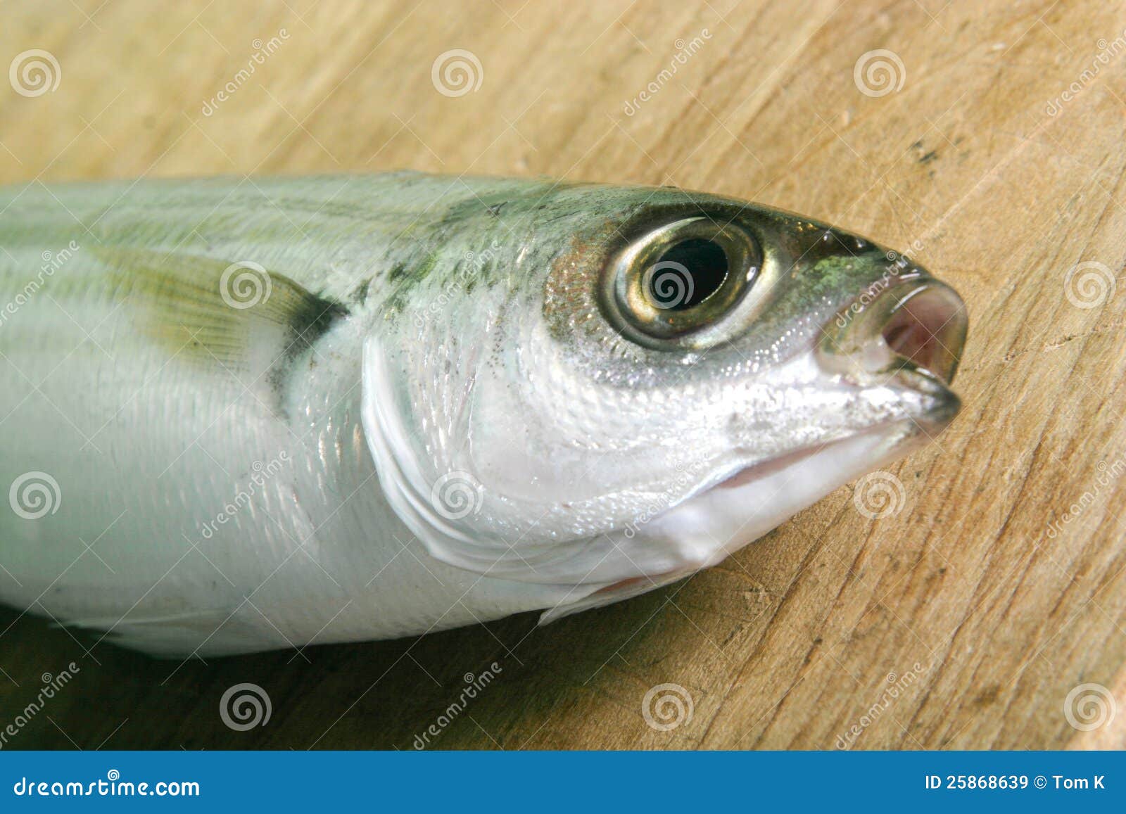 Bogue fish on wooden table stock image. Image of uncooked - 25868639