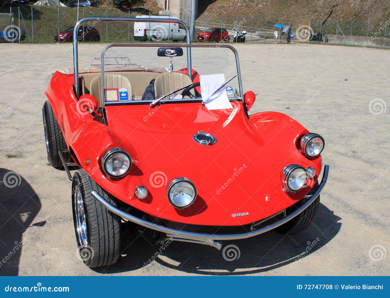 Boguet de Diane de voiture photo stock éditorial. Image du historique ...