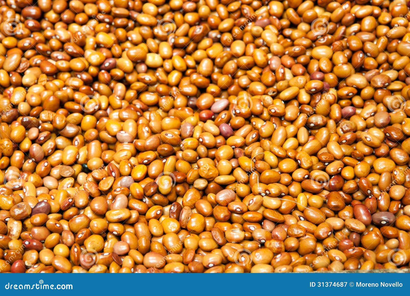 Bohnen stockbild. Bild von hintergrund, gesundheit, hülsenfrucht - 31374687