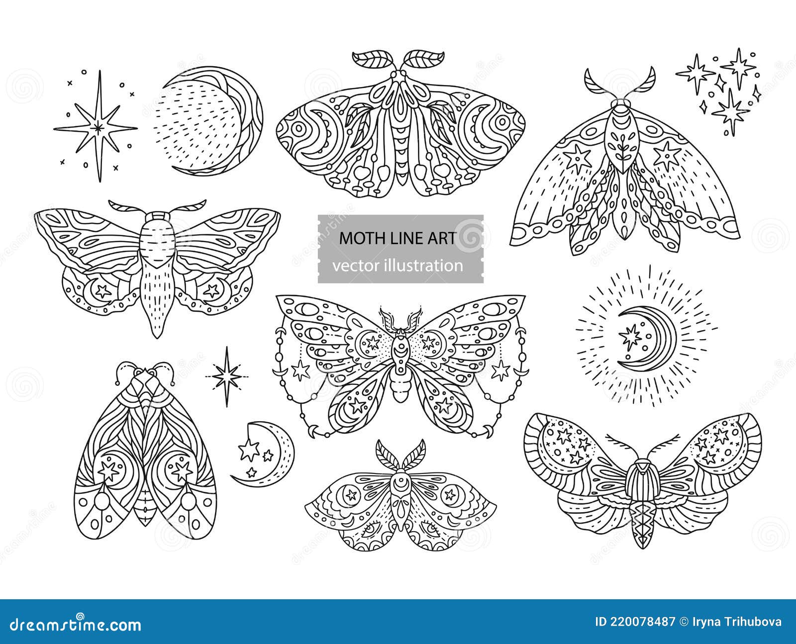 Boho butterfly vector set. stock vector. Illustration of style - 220078487