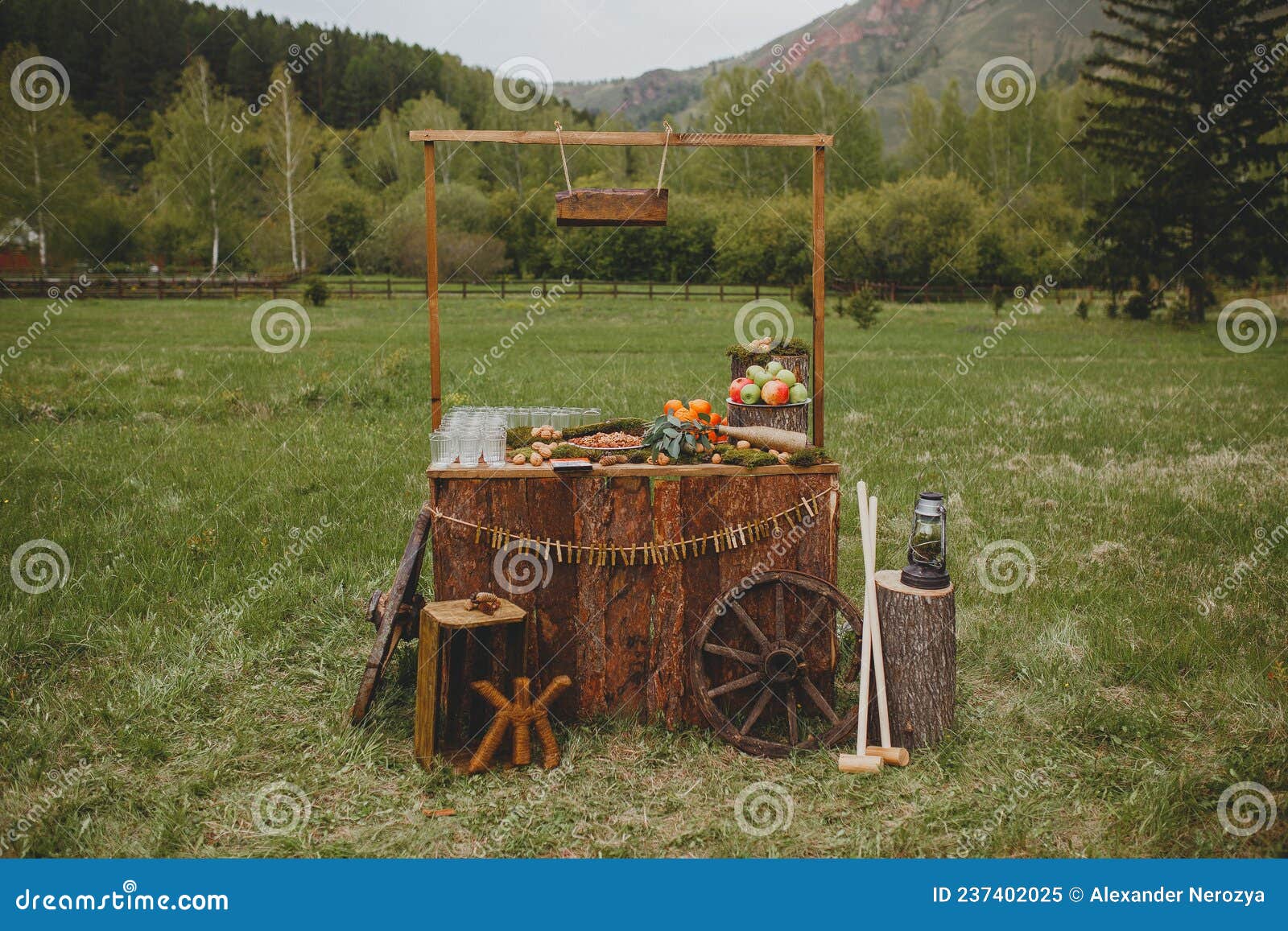 Boho and Rustic Wedding Buffet Bar in Nature Stock Image - Image of ...