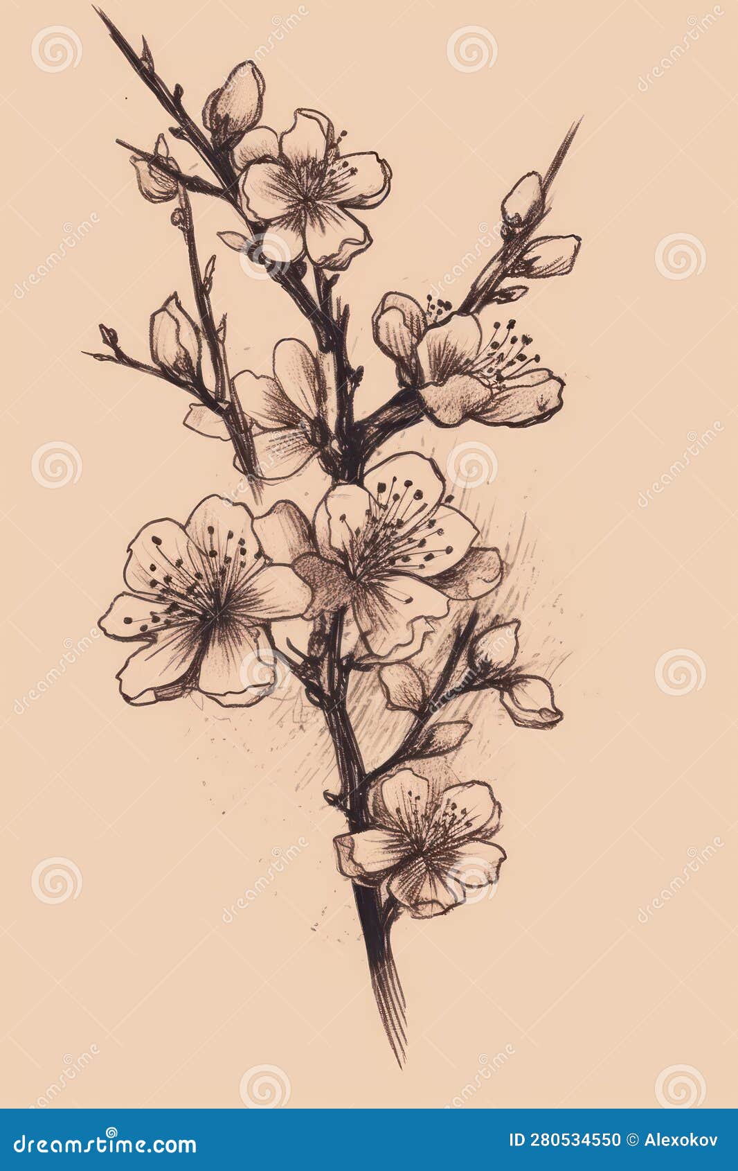 Boho Style Cherry Blossom Branch Drawing with Retro Mood . Stock ...