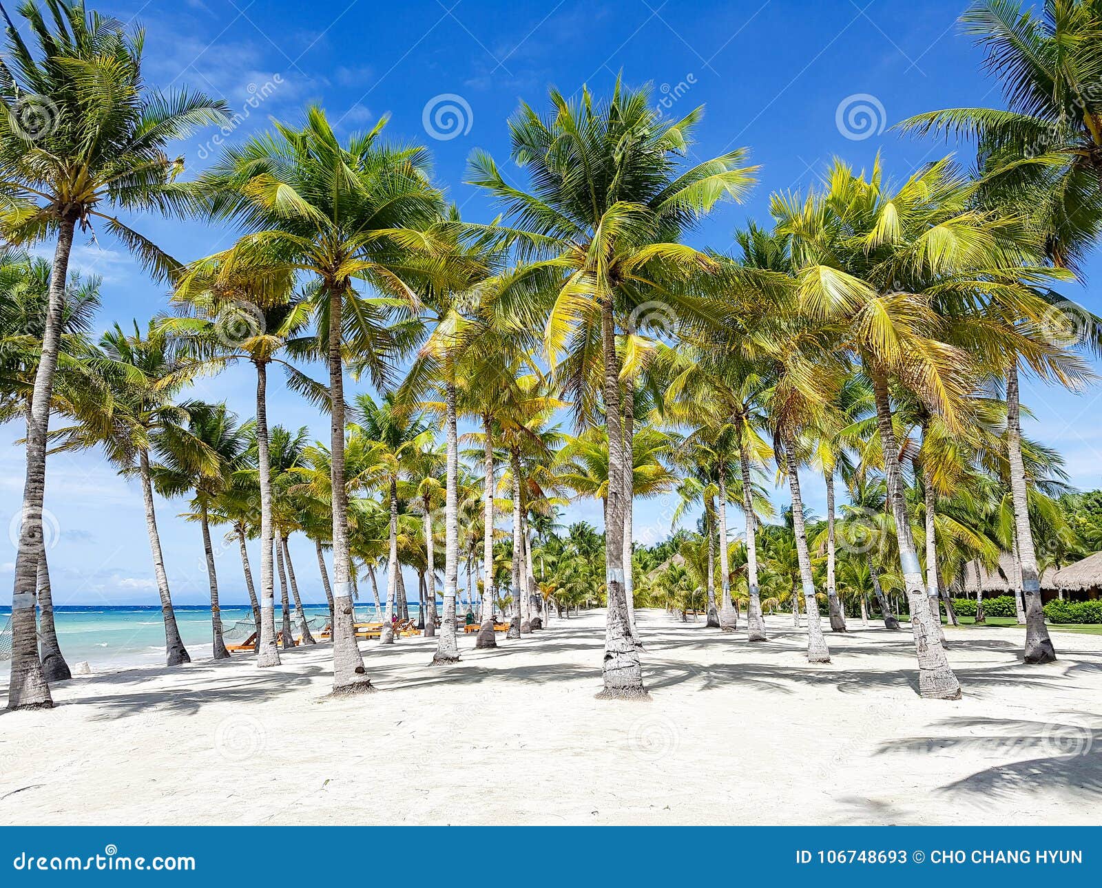 Bohol Beach, Philippines stock image. Image of asia - 106748693