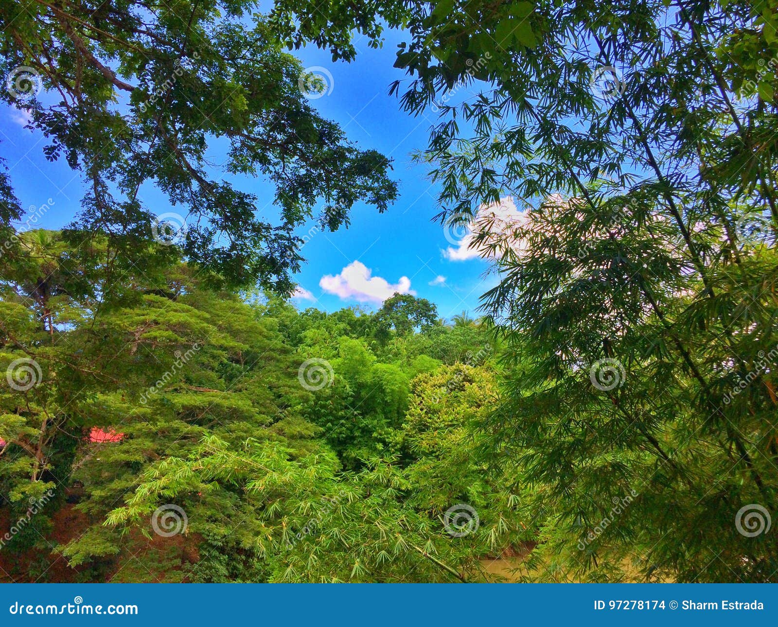 Bohol Travel stock photo. Image of bohol, philippines - 97278174