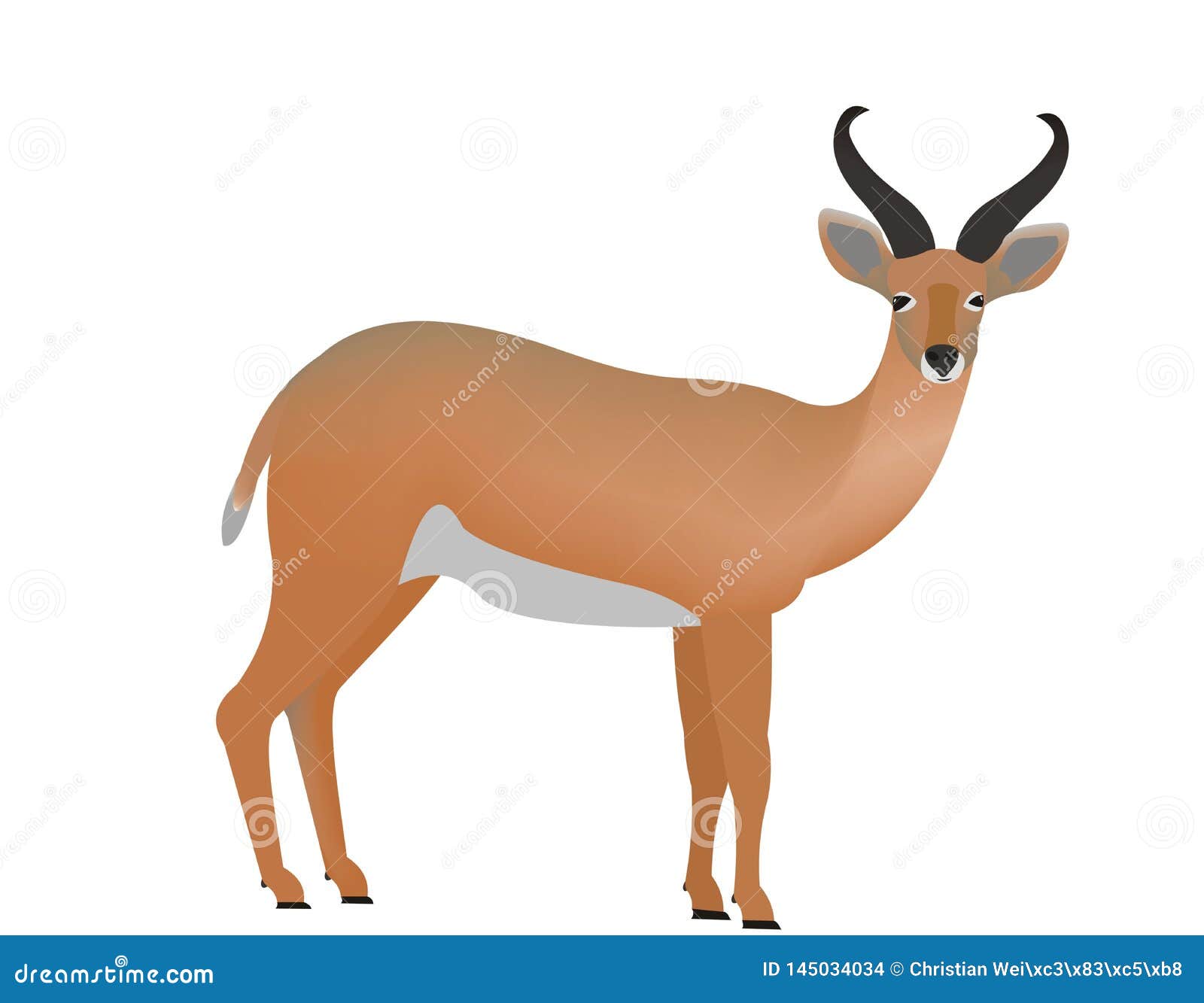 Bohor Stock Illustrations – 1 Bohor Stock Illustrations, Vectors ...