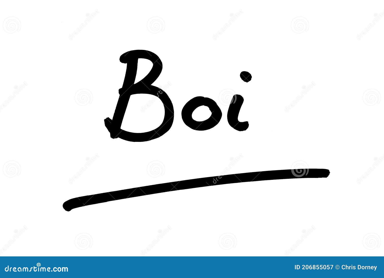 Boi stock illustration. Illustration of rights, signage - 206855057