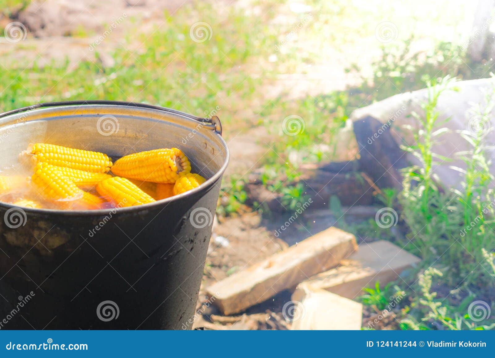 Boil Corn in Boiling Water on a Fire. Stock Photo - Image of lunch ...