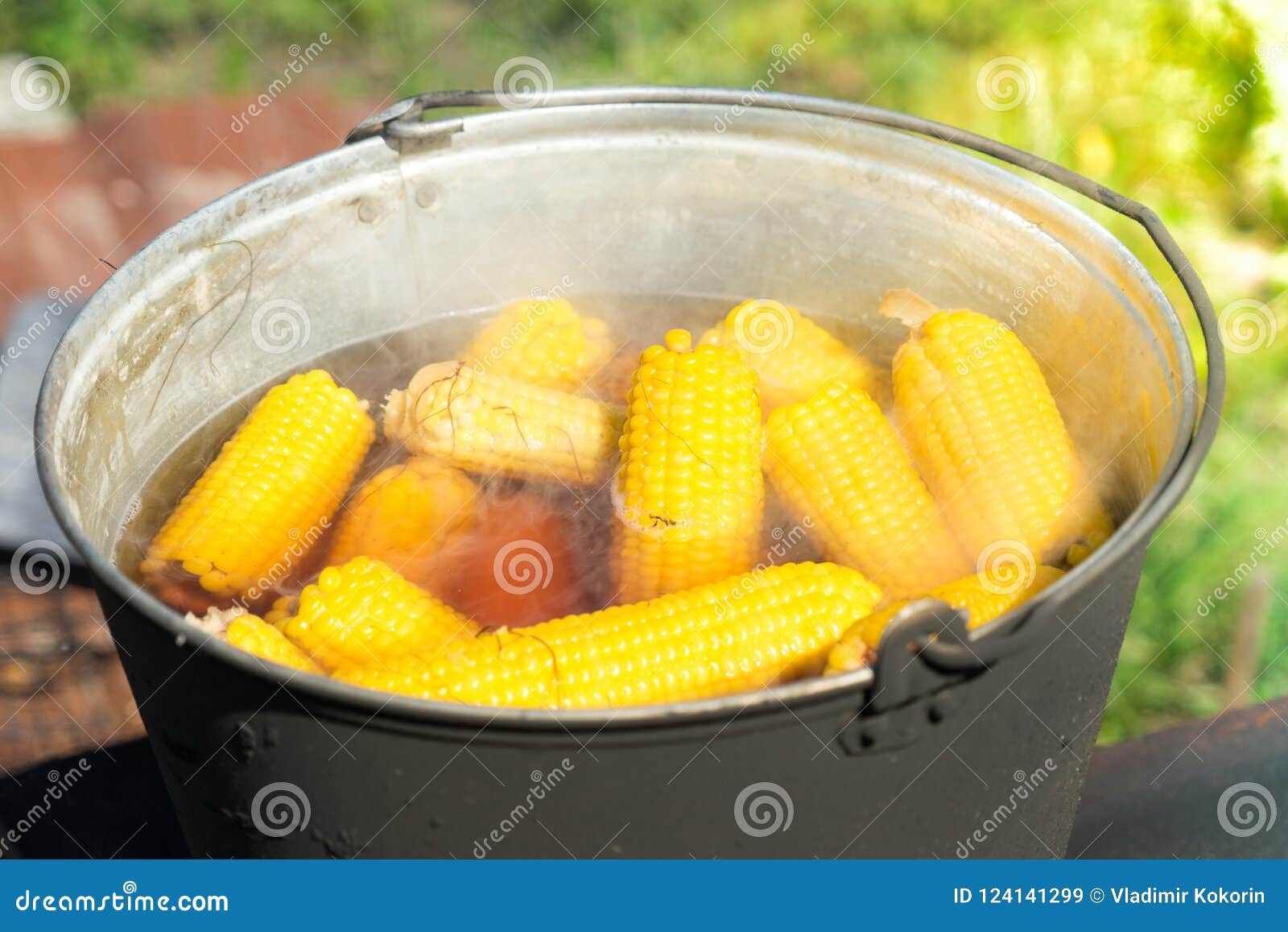 Boil Corn in Boiling Water on a Fire. Stock Image - Image of cooking ...