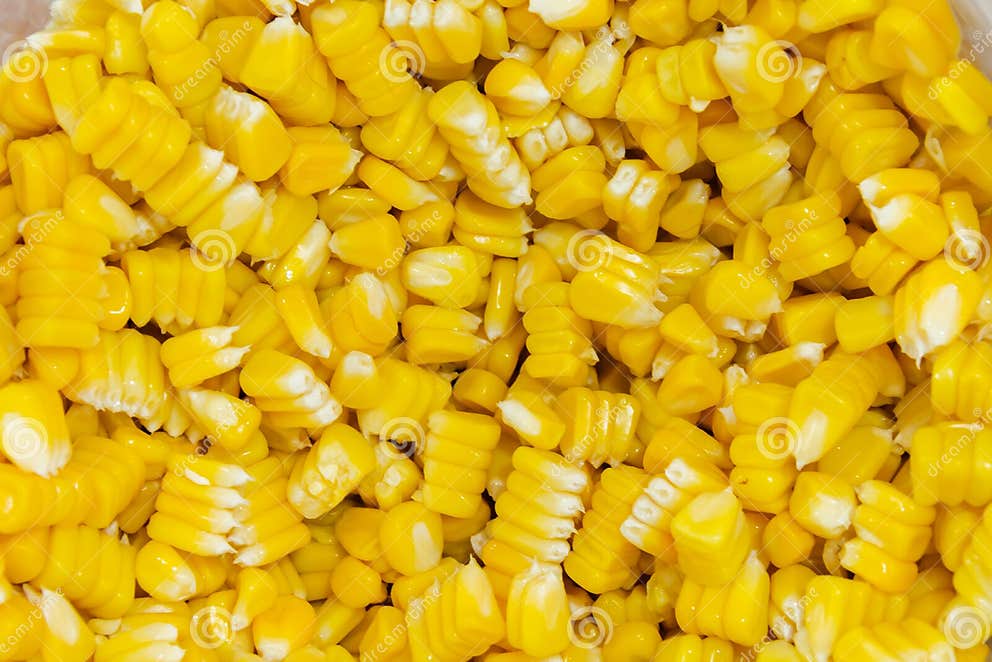 Boil corn seeds in bowl stock image. Image of grain - 140989093