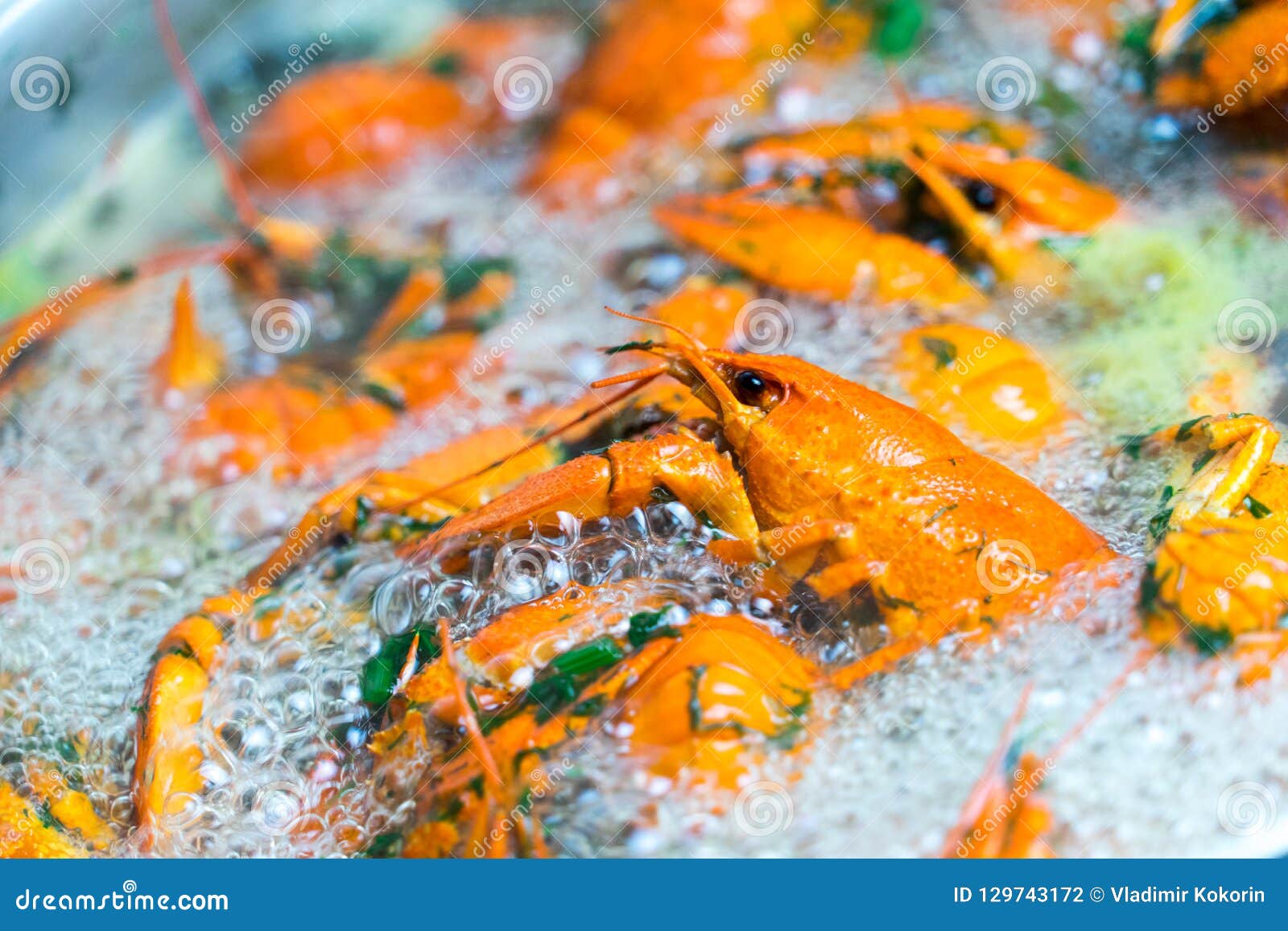 Boil the Crayfish in a Pot. Place for Your Text. Stock Photo - Image of ...