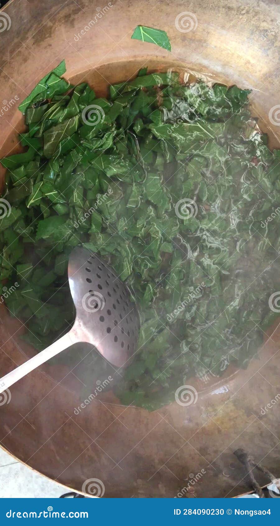 Boil Mulberry Leaves in a Brass Pan To Make Mulberry Tea. Stock Footage ...