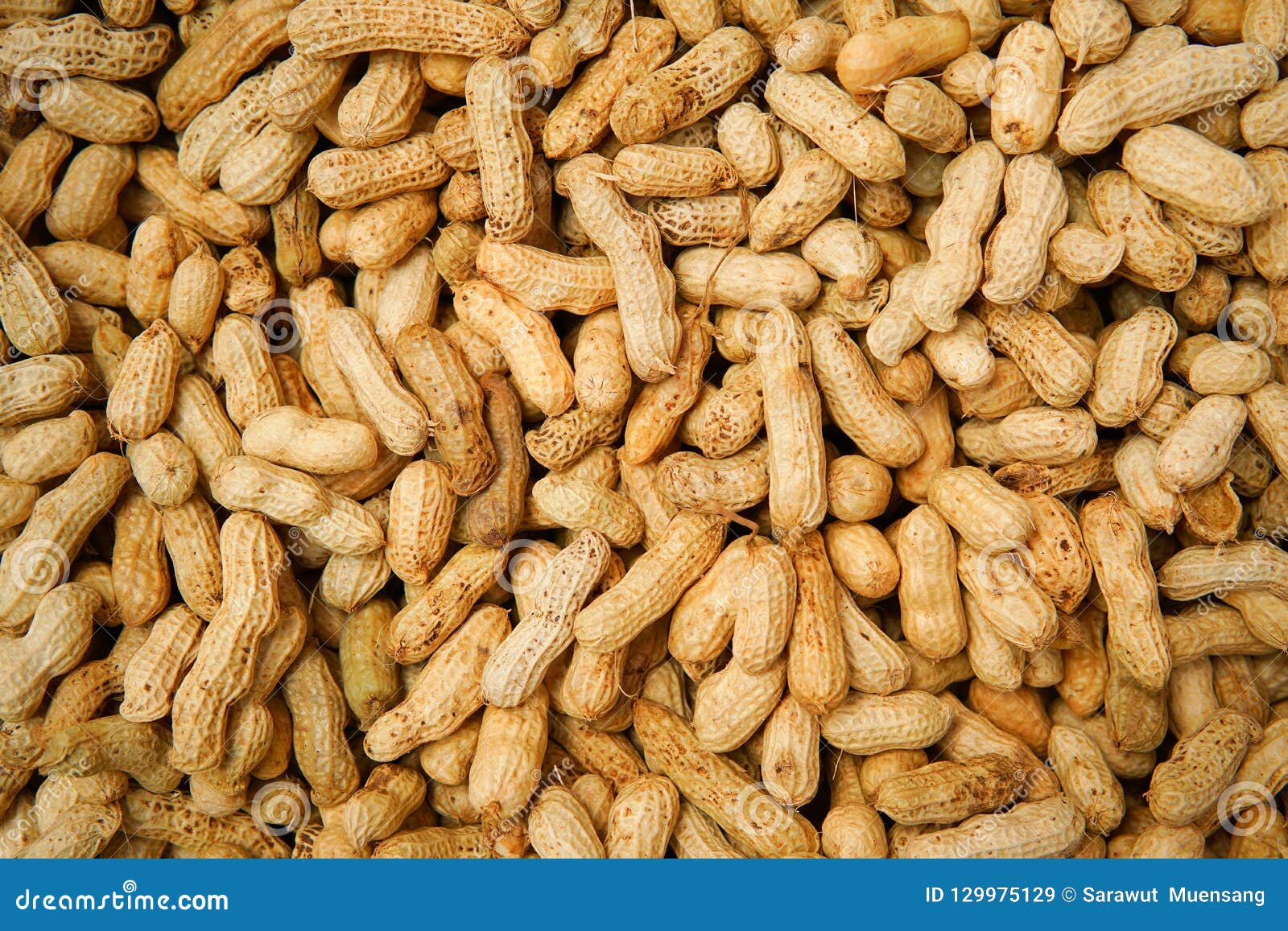 Boil nut nature stock image. Image of organic, closeup - 129975129