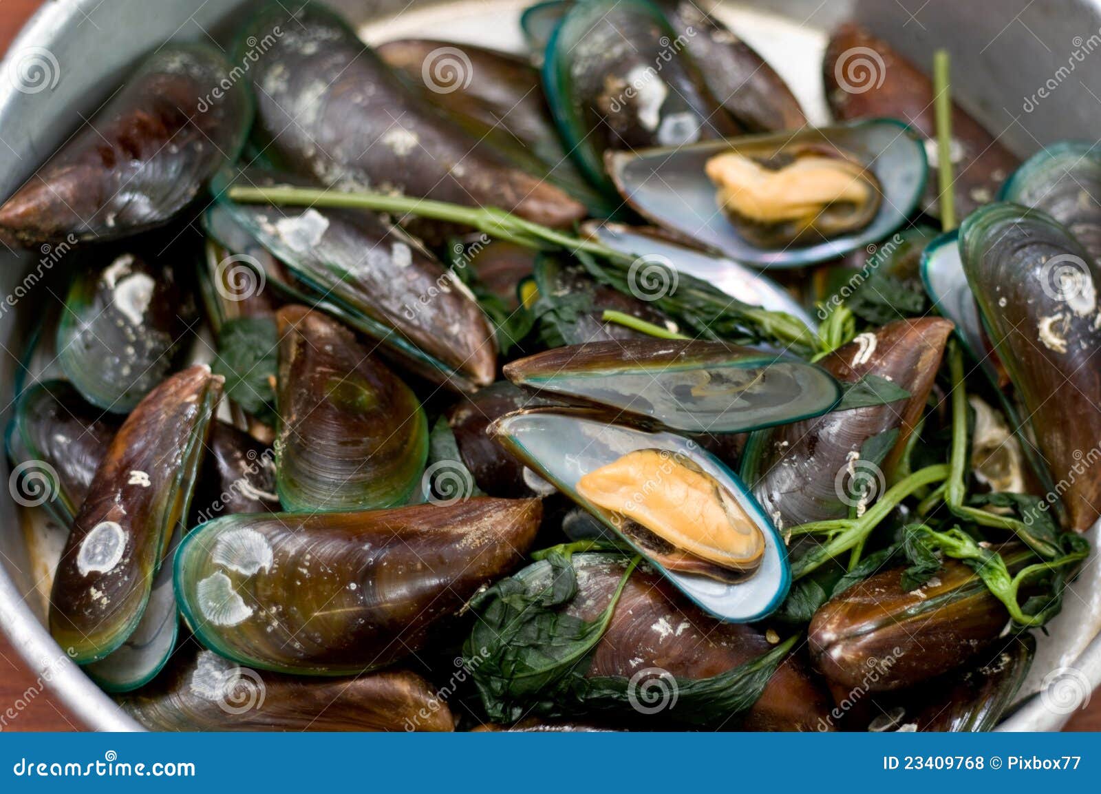Boiled Asian Green Mussel, Perna Viridis Stock Photo - Image of cook ...