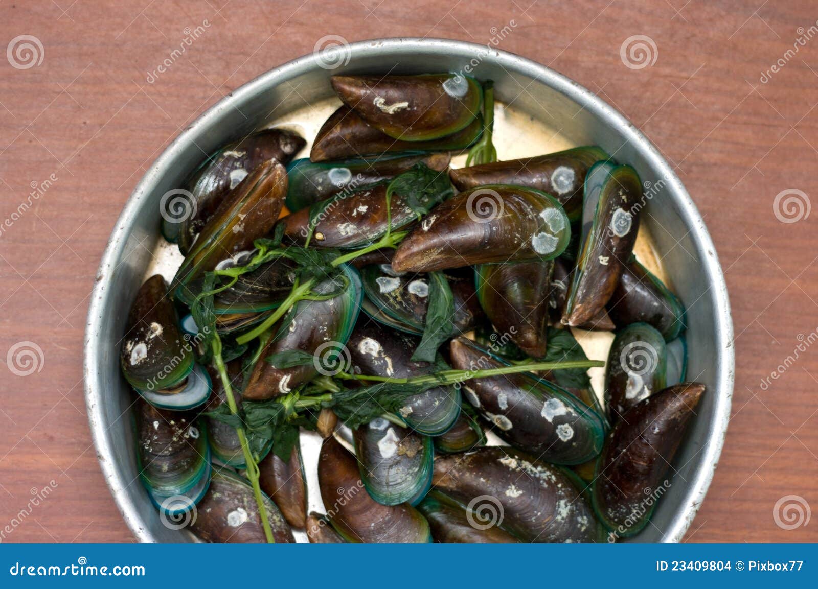 Boiled Asian Green Mussel, Perna Viridis Stock Photo - Image of wooden ...