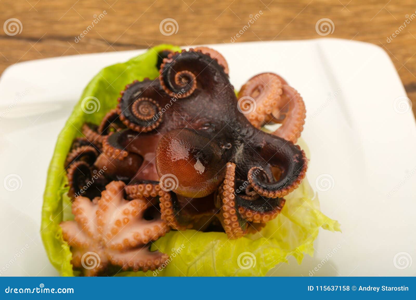 Boiled baby octopuses stock photo. Image of lunch, life - 115637158