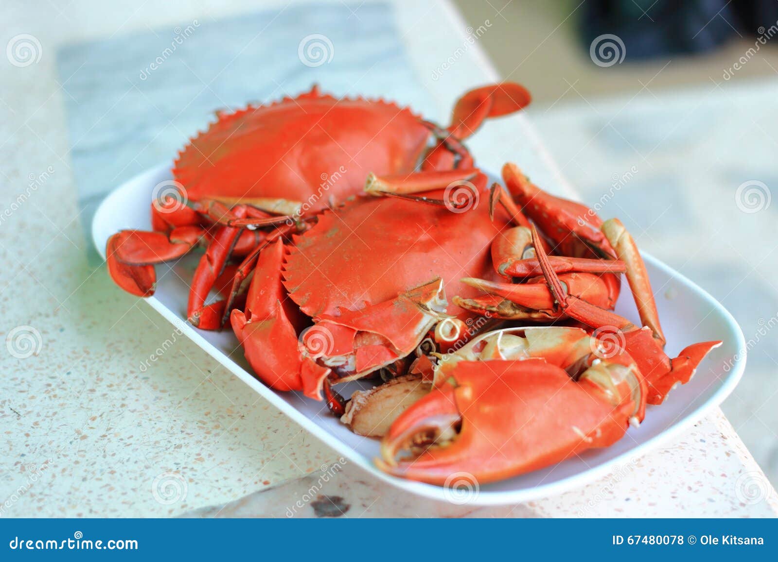 Boiled back crab stock photo. Image of crab, eating, boiled - 67480078