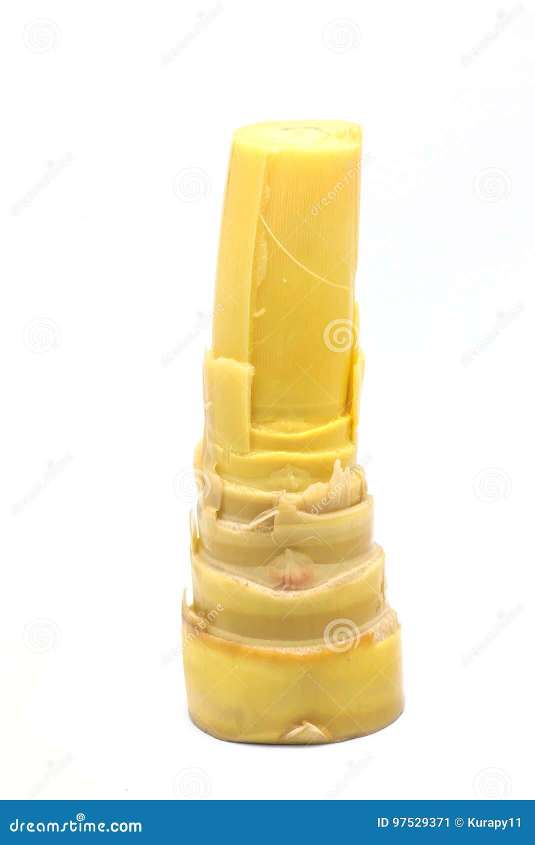 Boiled Bamboo Shoots on White Background Stock Image - Image of natural ...