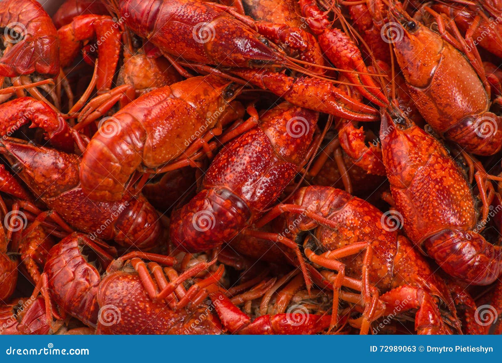 Boiled Big Crawfish Close Up View from the Top Stock Image - Image of ...