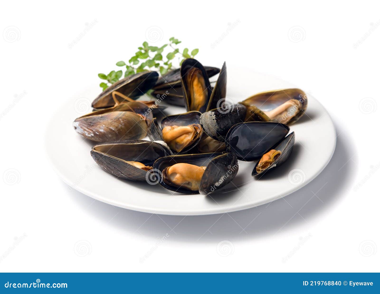 Boiled Blue Mussels on a Plate Isolated on White Stock Photo - Image of ...