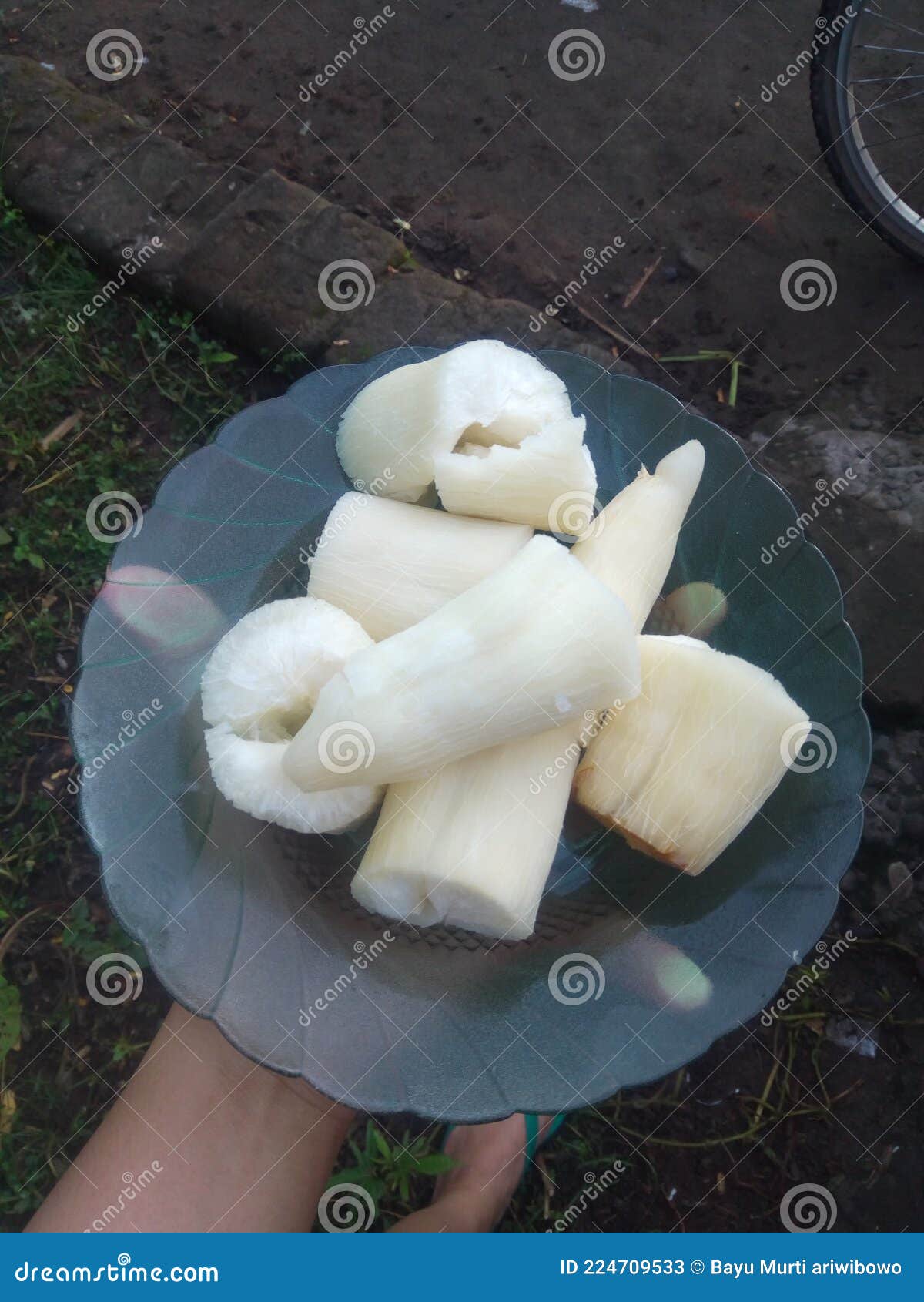 Boiled Cassava at the Plate Stock Image - Image of meal, cuisine: 224709533