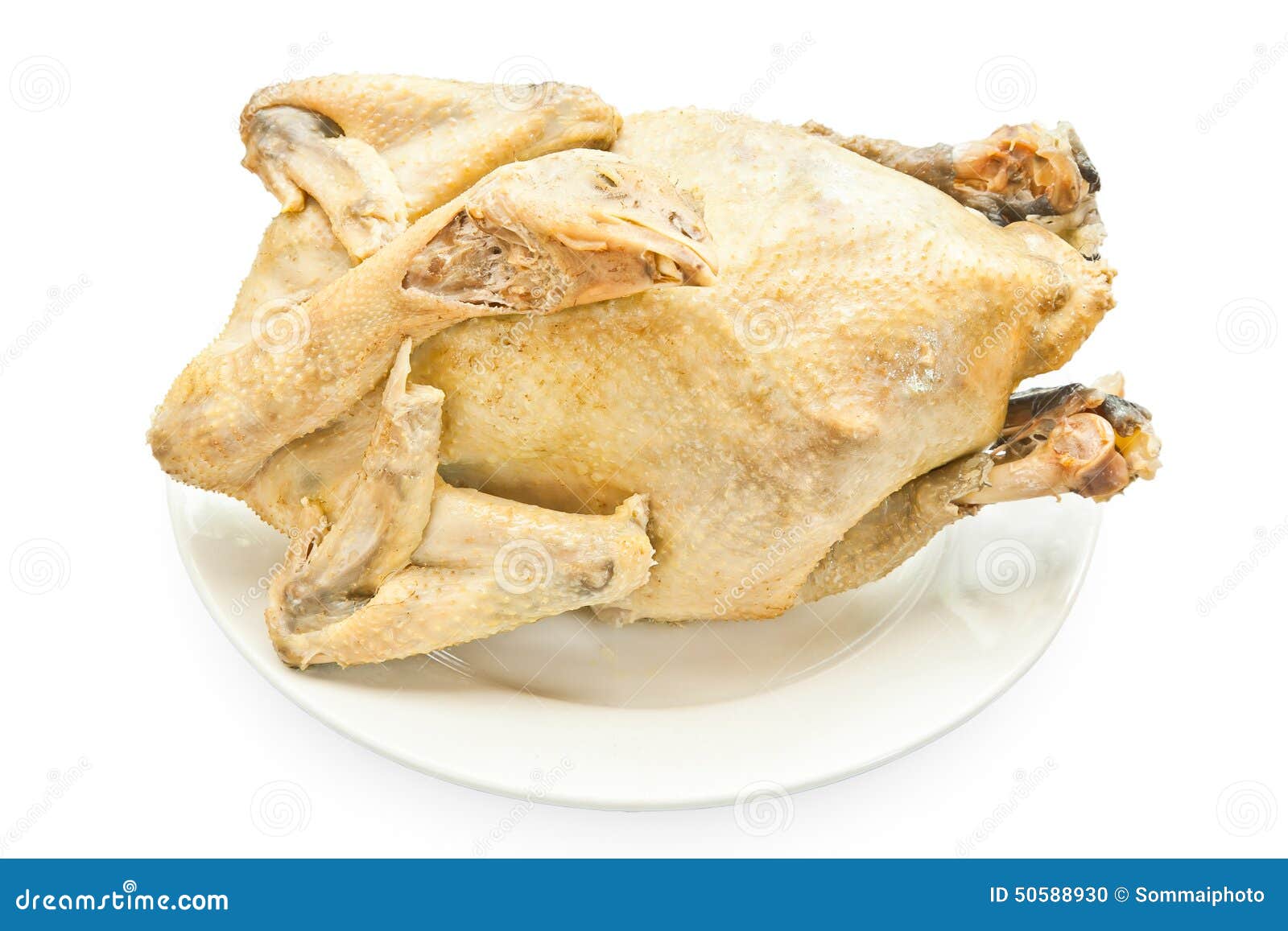 Boiled chicken stock photo. Image of single, thailand - 50588930