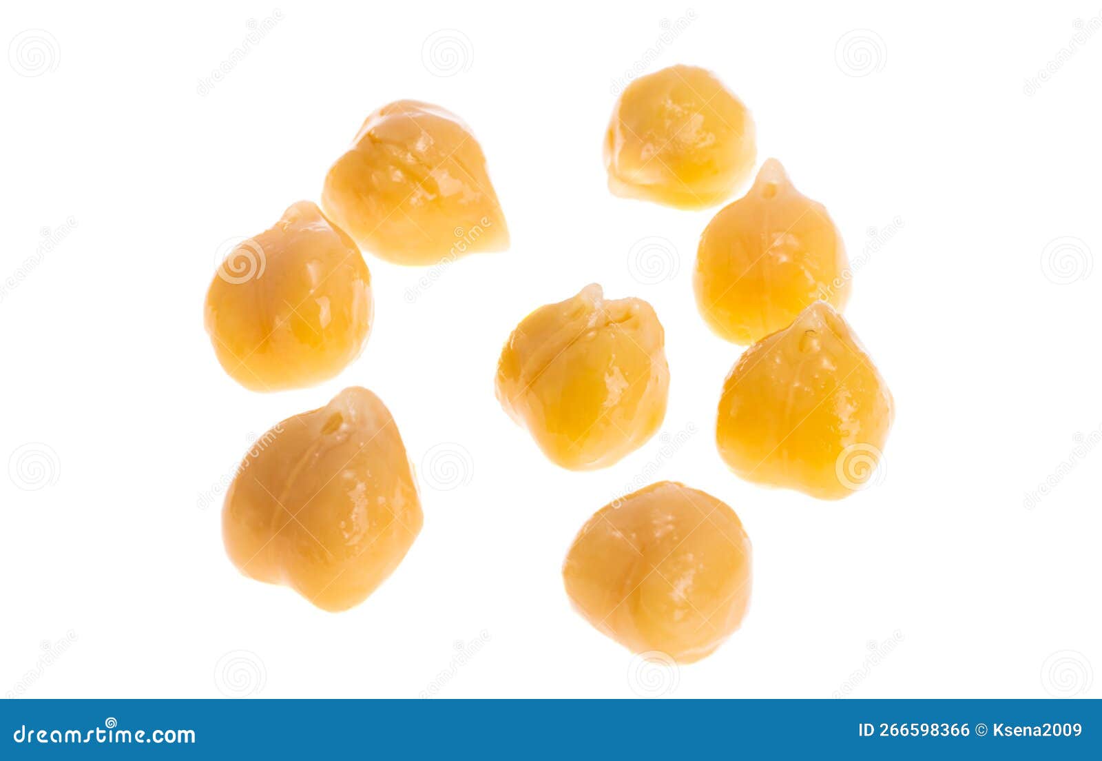 Boiled chickpeas isolated stock photo. Image of closeup - 266598366