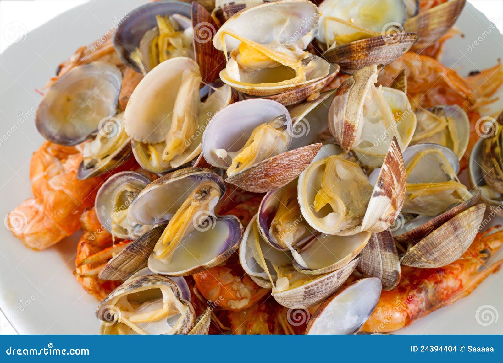 Boiled clams stock photo. Image of boiled, plate, pile - 24394404