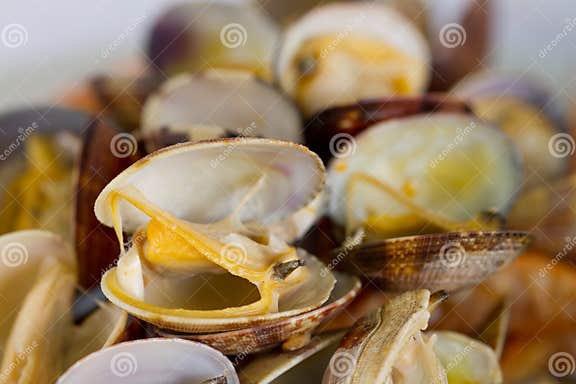 Boiled clams stock image. Image of cooked, pile, open - 24587449