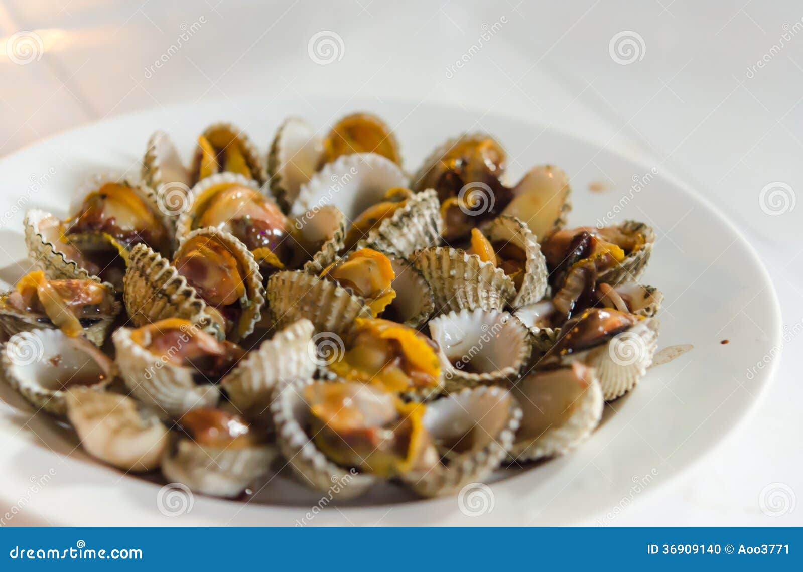 Boiled cockles stock photo. Image of cockles, mammal - 36909140