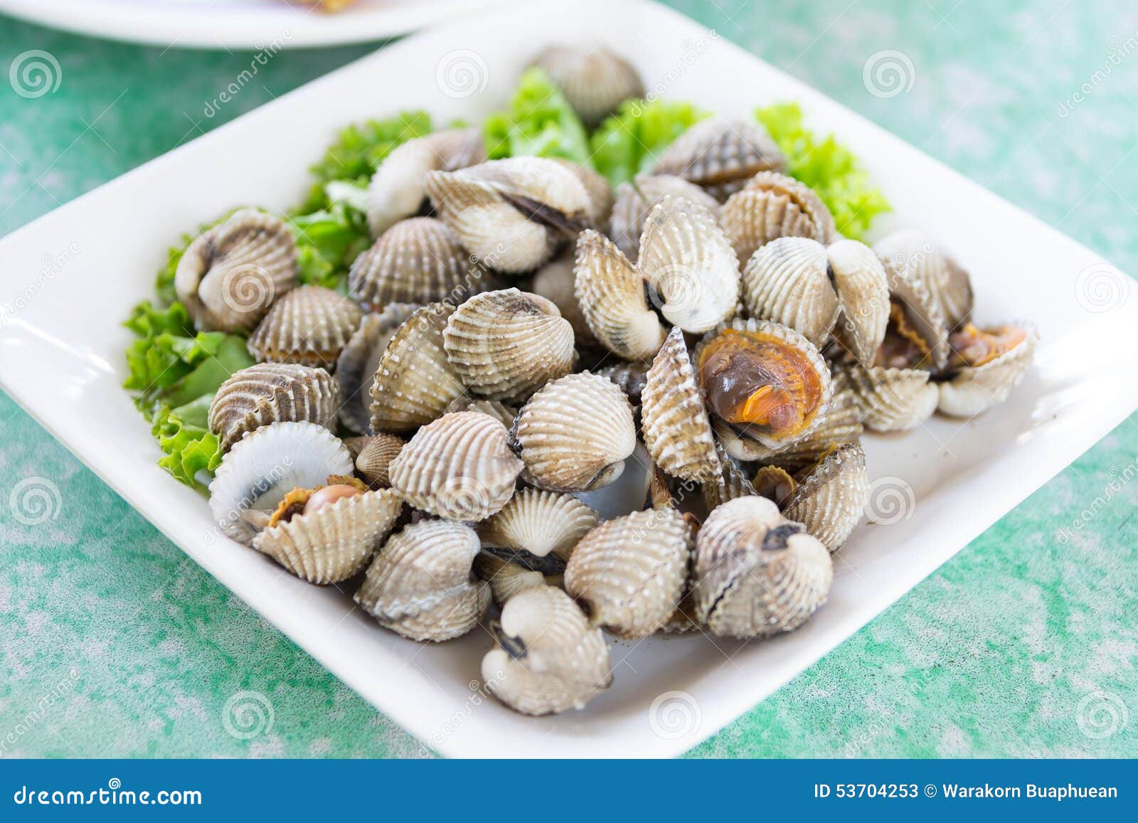 Boiled cockles stock image. Image of healthy, grill, meat - 53704253