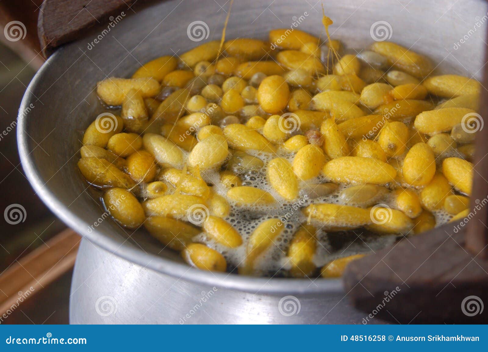 Boiled cocoon stock photo. Image of gold, cocoon, boil - 48516258