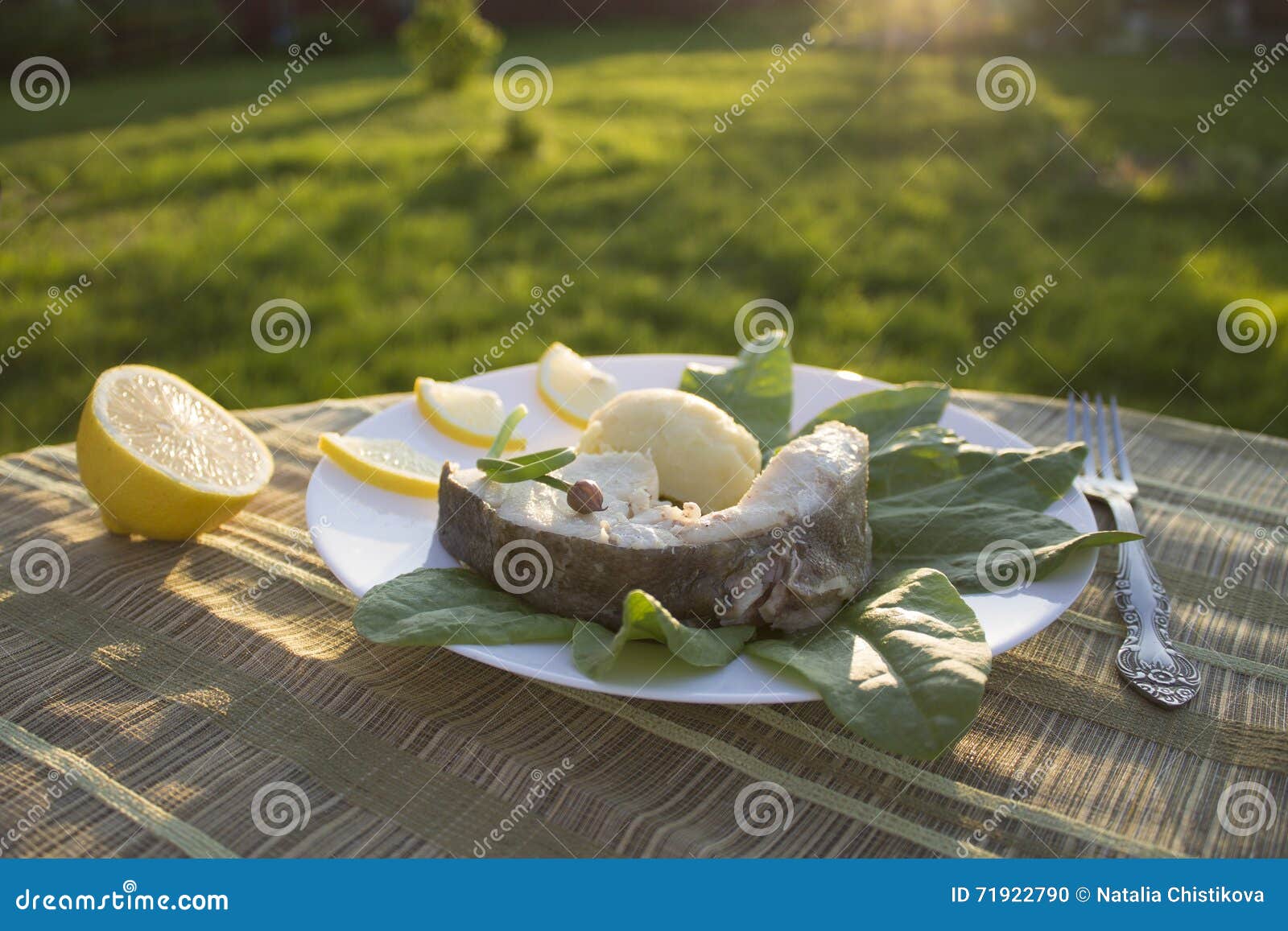 Boiled Cod with Mashed Potatoes Stock Photo - Image of plate, sunny ...