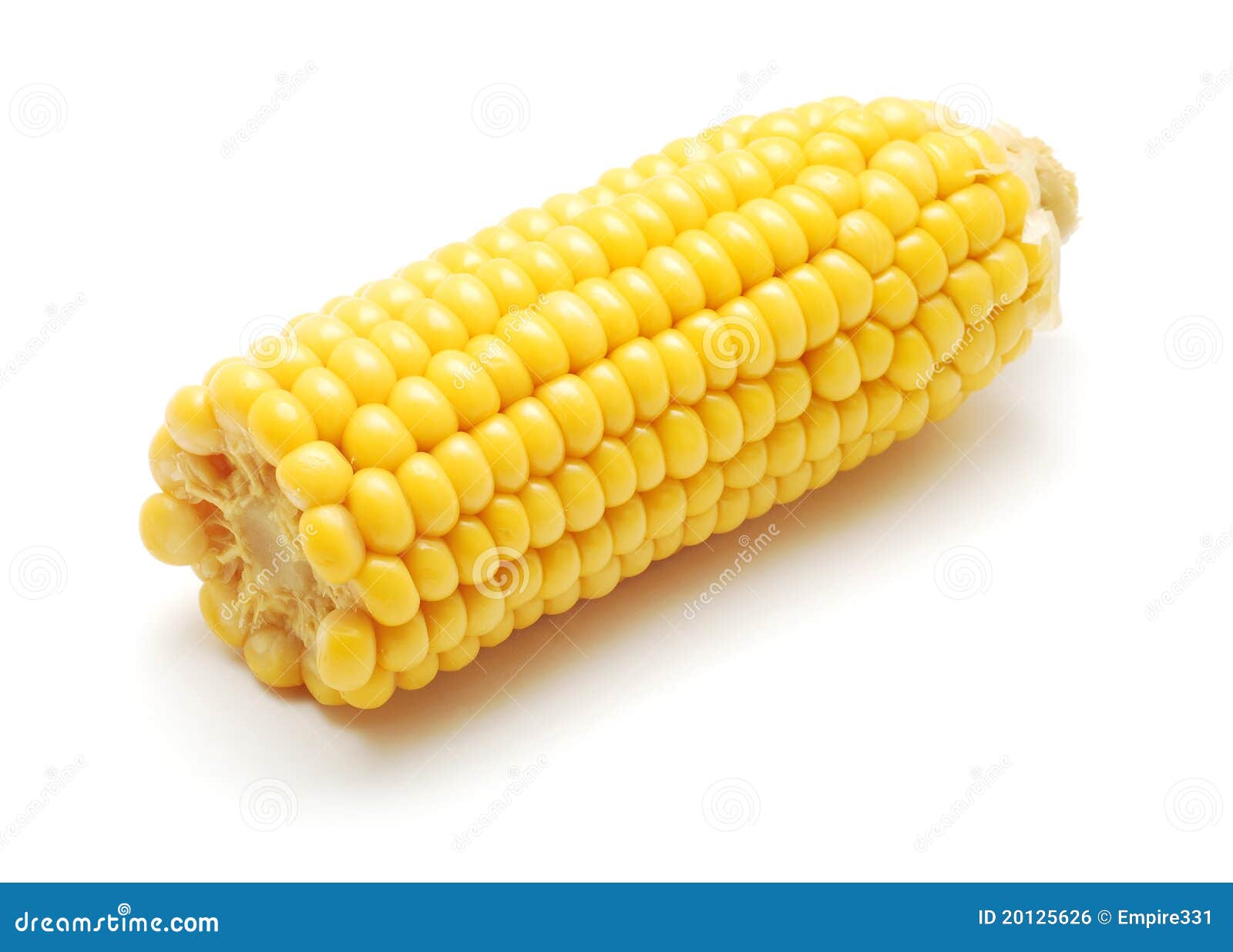 Boiled corn stock photo. Image of yellow, food, snack - 20125626