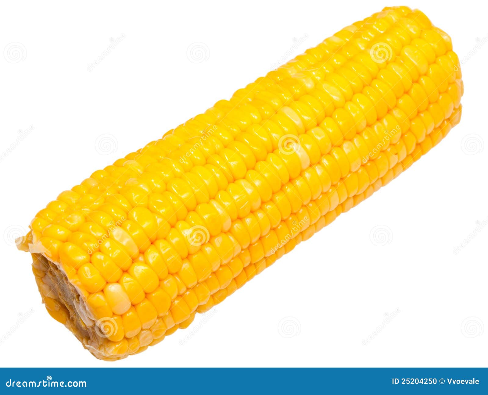 Boiled corn stock photo. Image of meal, fast, boiled - 25204250
