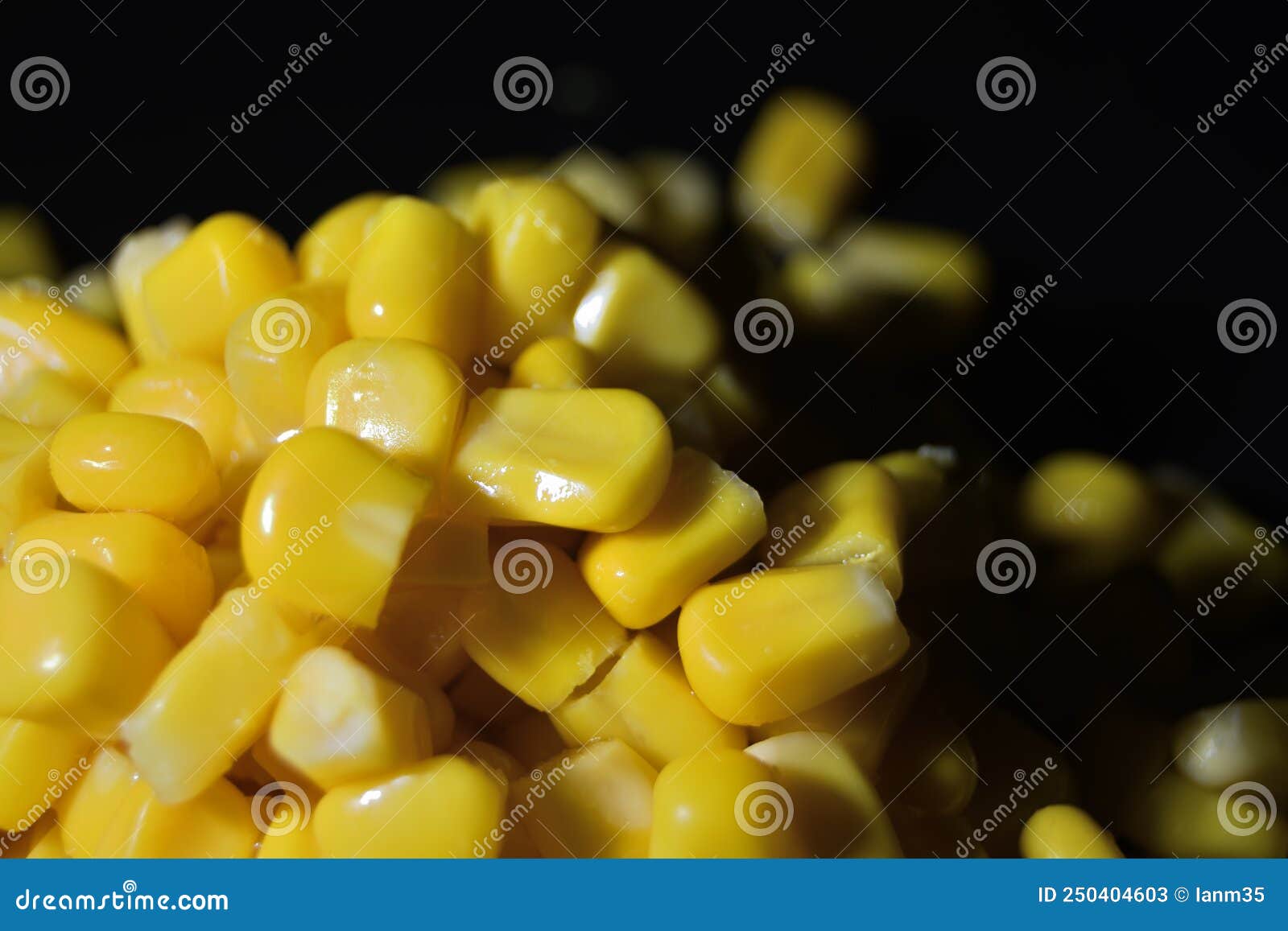 Boiled Corn with Black Background Stock Image - Image of farming ...