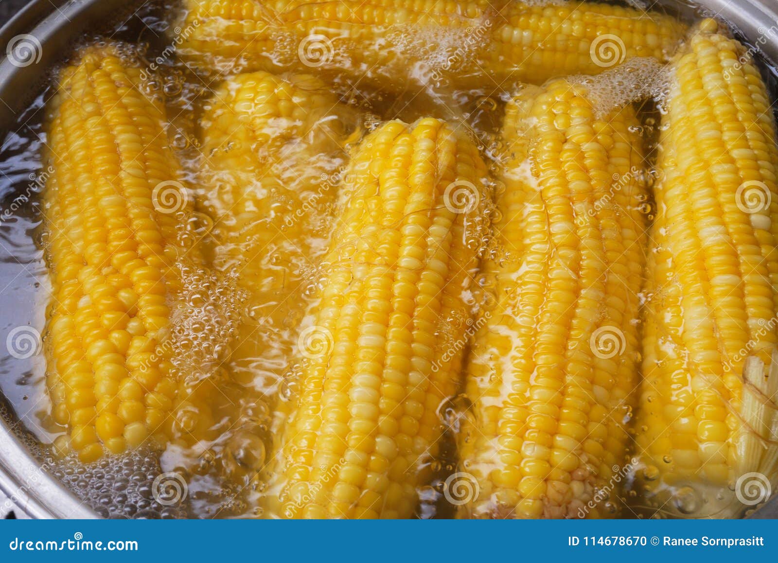 Boiled corn in a boiler stock photo. Image of ripe, culture - 114678670