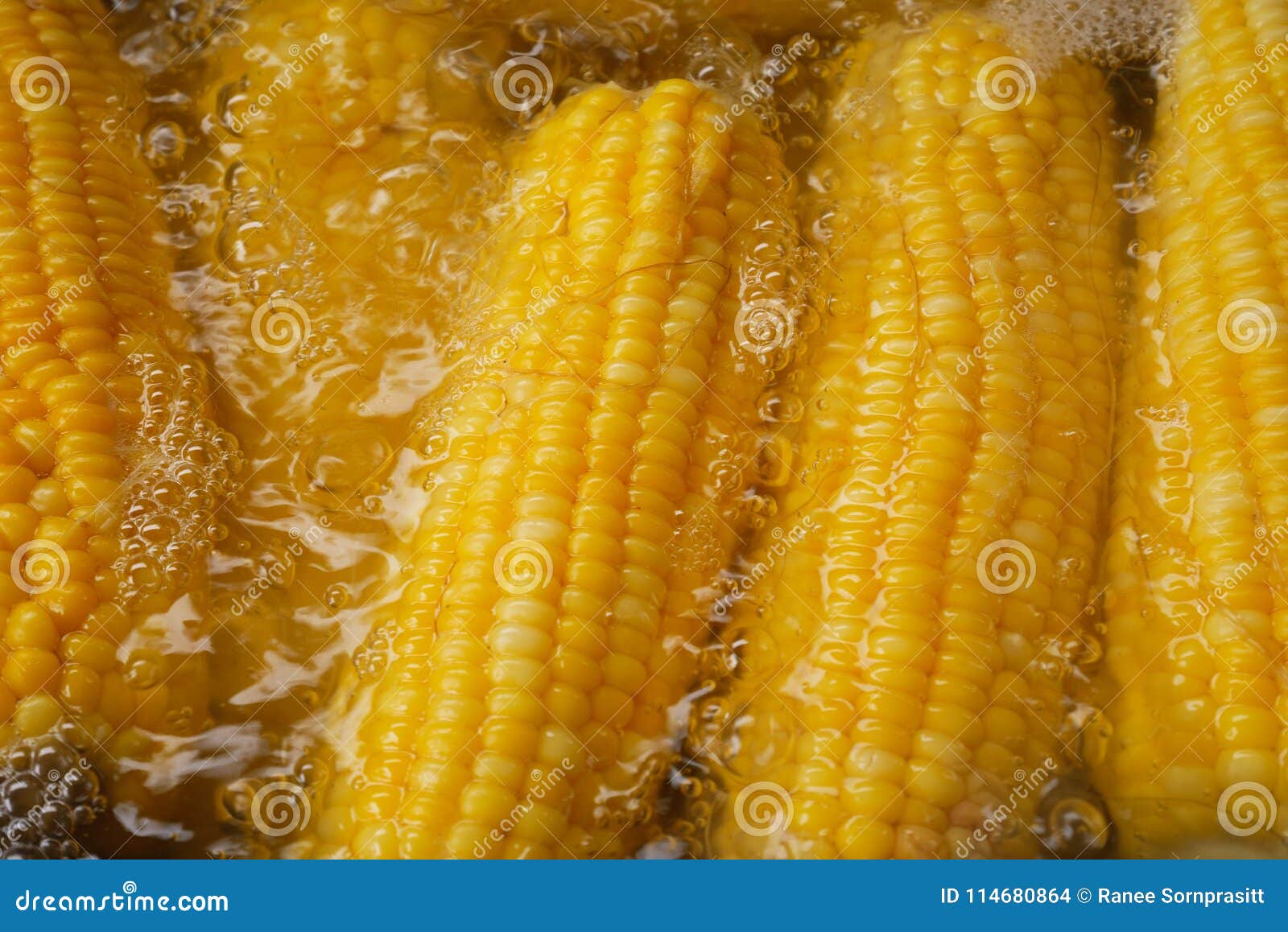 Boiled corn in a boiler stock photo. Image of food, gold - 114680864
