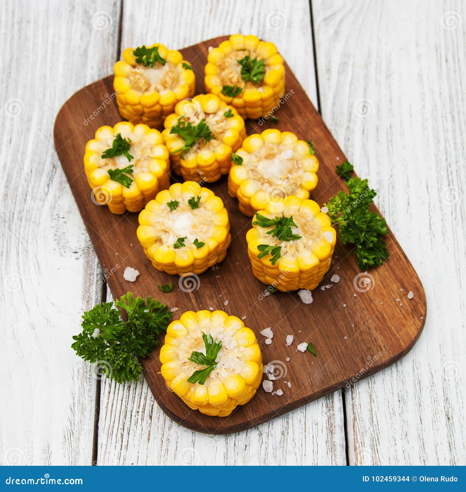 Boiled corn on the cob stock photo. Image of salt, eating - 102459344