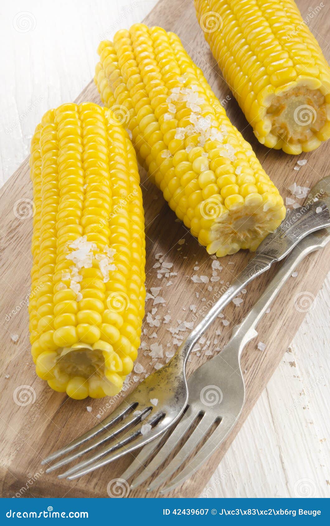 Boiled Corn Cobs with Coarse Salt Stock Image - Image of coarse, corn ...