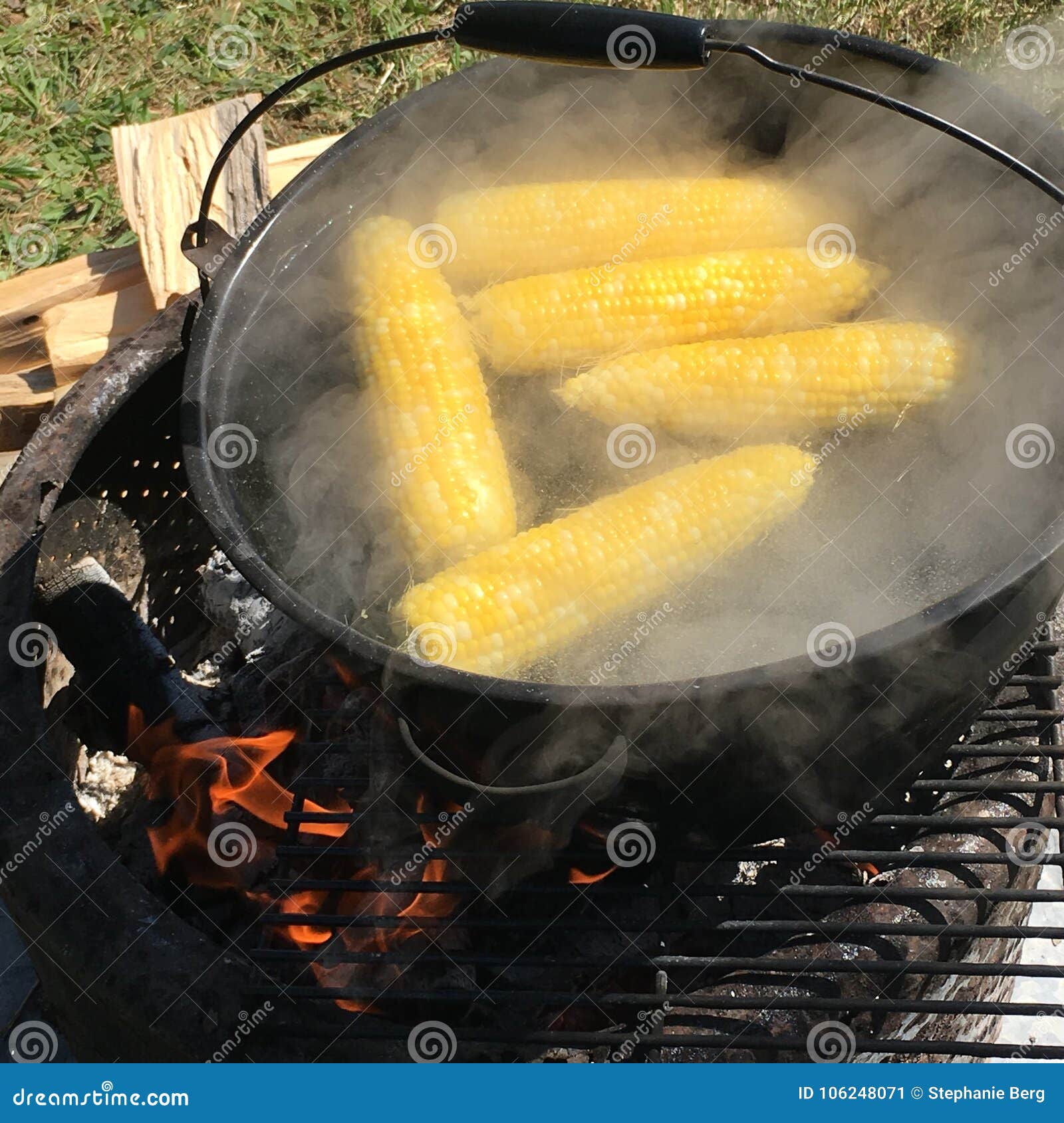 Boiled Corn on a Fire stock image. Image of roast, firepit - 106248071