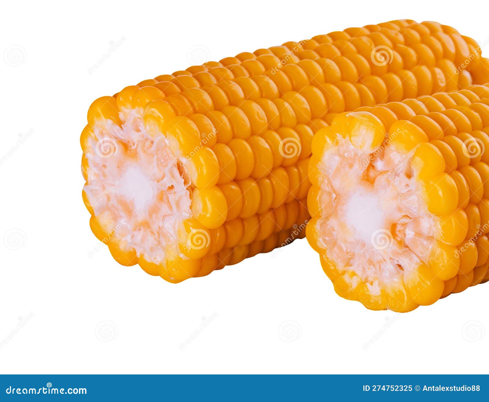 Boiled Corn Isolated on White Stock Image - Image of boiled, food ...